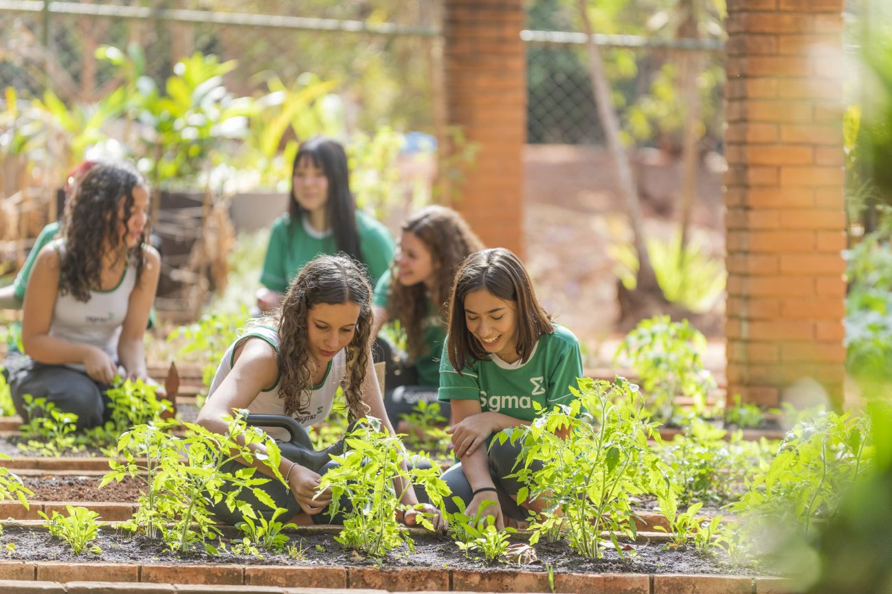 Soft Skills: o segredo que vai além das notas - Colégio Sigma